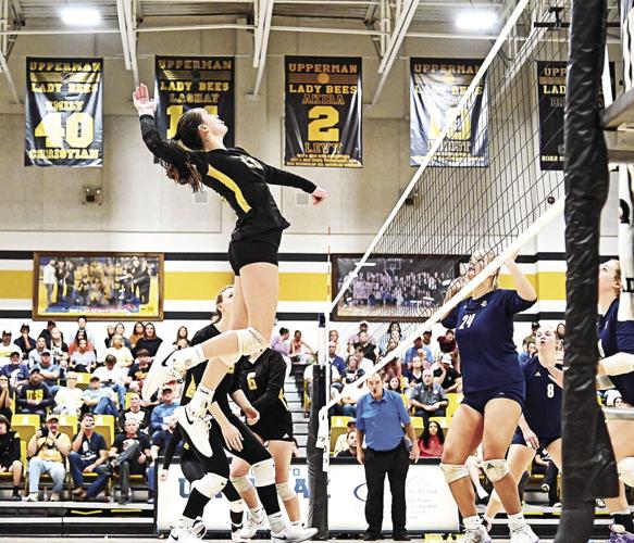 Lady Bees headed to state with sectional shutout of Soddy | Sports ...