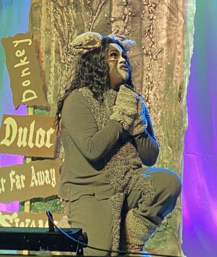 'Shrek the Musical' brings fairytales to life | Mcminnville | herald ...