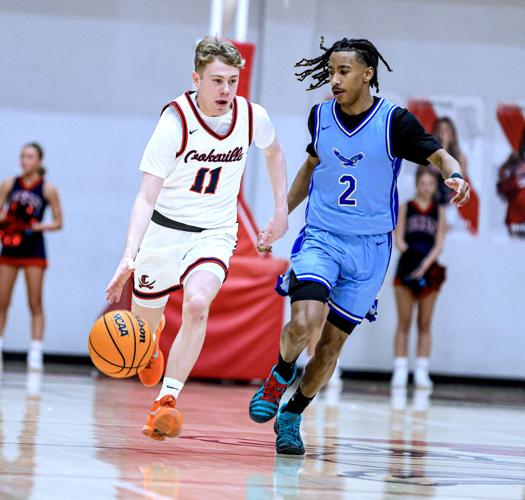 CHS splits 1st home district doubleheader | Sports | herald-citizen.com