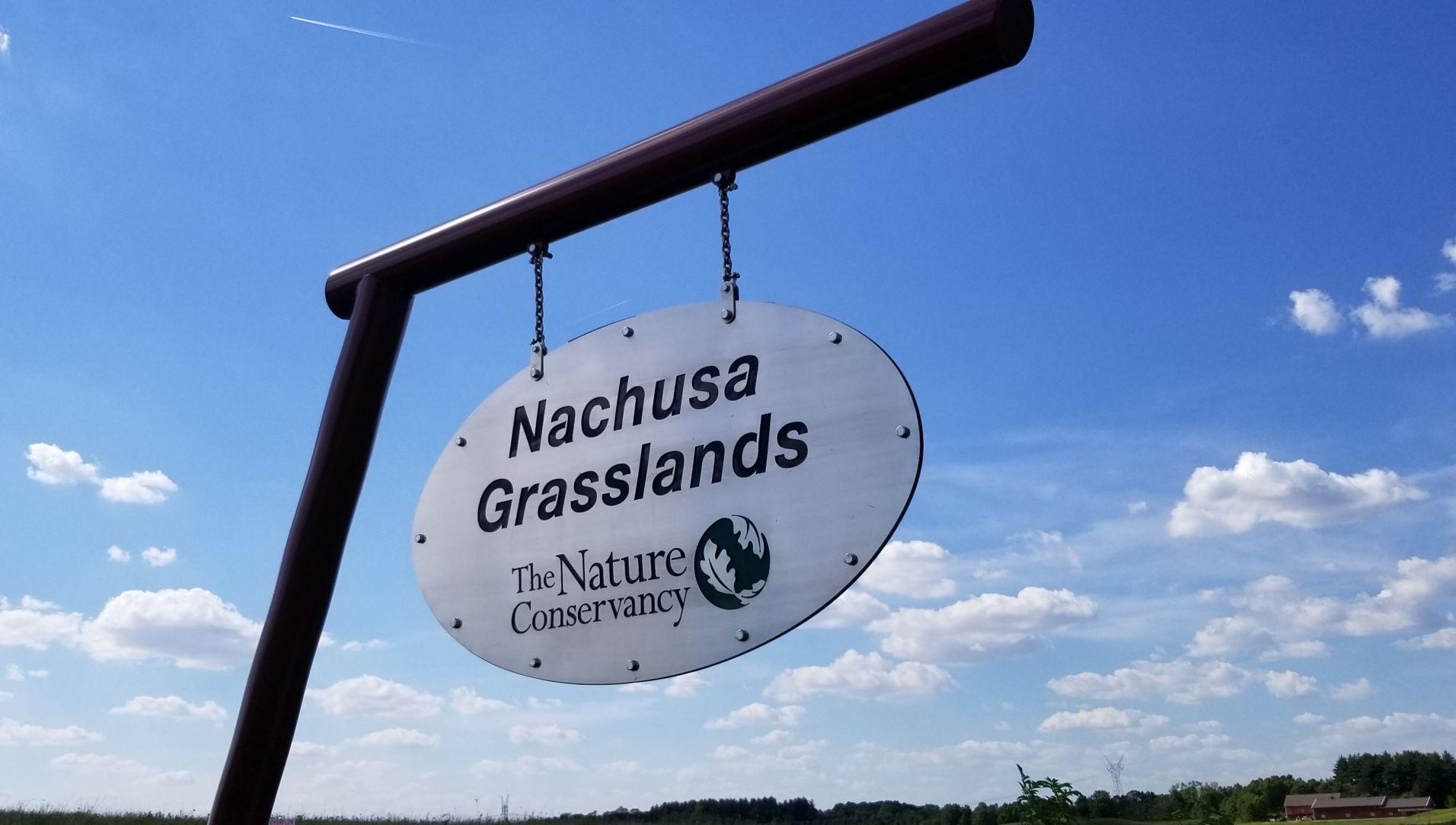 Nachusa brings large-scale prairie, bison back to Illinois
