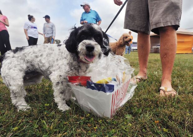 'Bark For Life' raises funds for Cancer Society