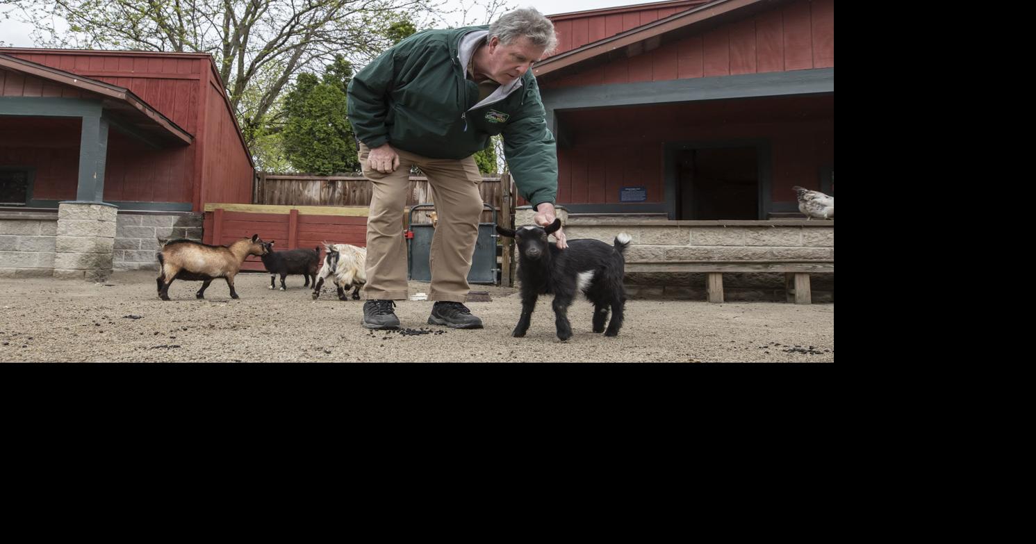 Scovill Zoo employees prepare to open even without knowing when that ...