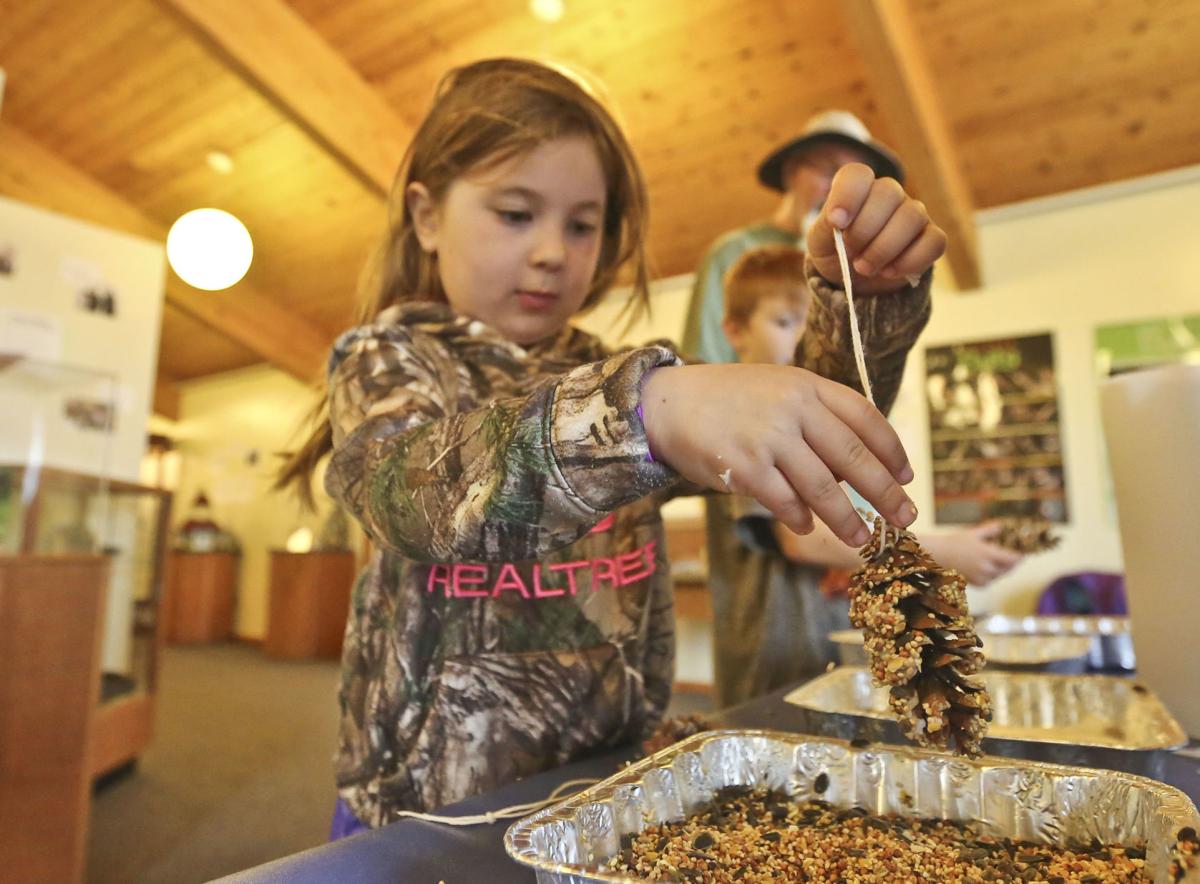 New Rock Springs playground encourages kids to explore nature