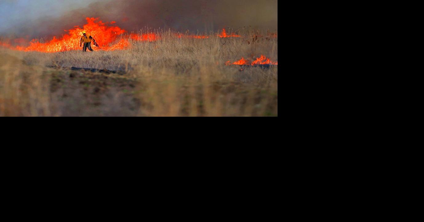 Prescribed burn scheduled along Lake Decatur this week