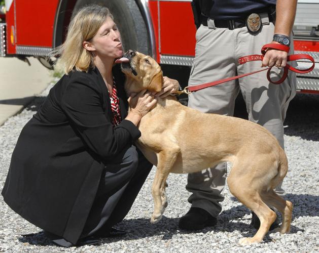 Arson dog Mazy shows off her skills in Bloomington
