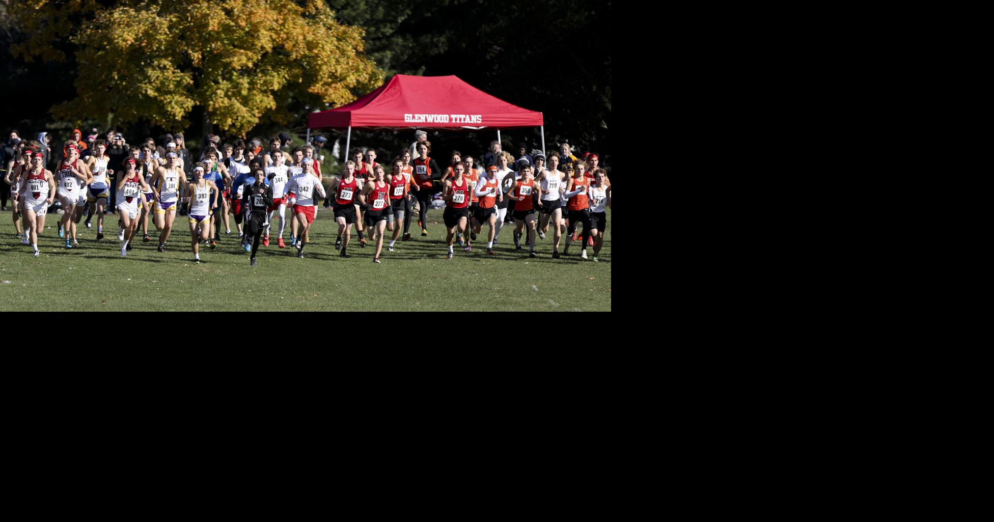 Taylorville's Chris Cherry leads group of boys cross country runners to ...