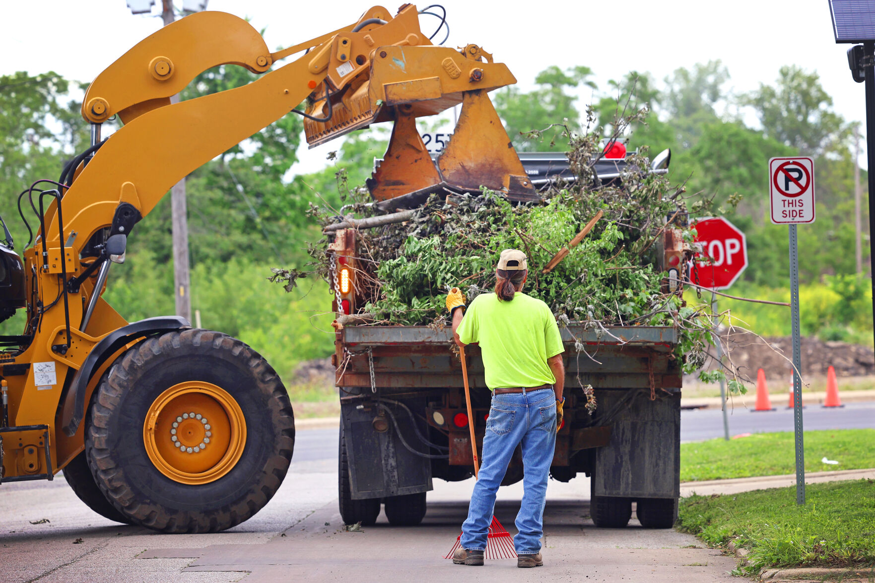 Windstorm tree clean-up rolls on and on
