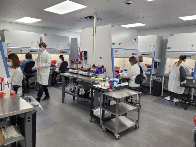 Reditus: Sequencing at Pekin lab shows omicron is Illinois' main COVID ...