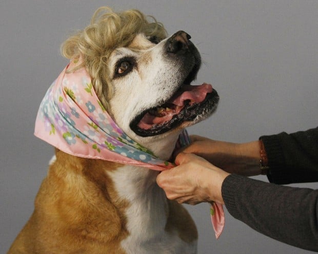 Turning the bow to wow