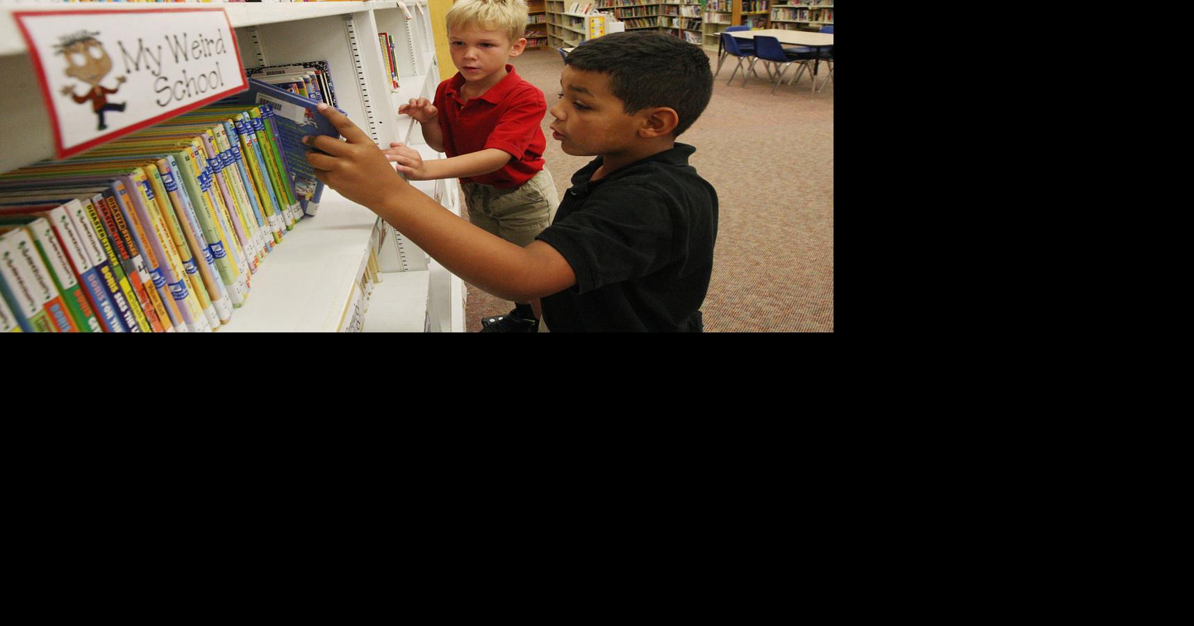 LSA library streamlines