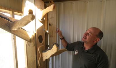 PHOTOS: Illinois Raptor Center Baby Snowy Owl