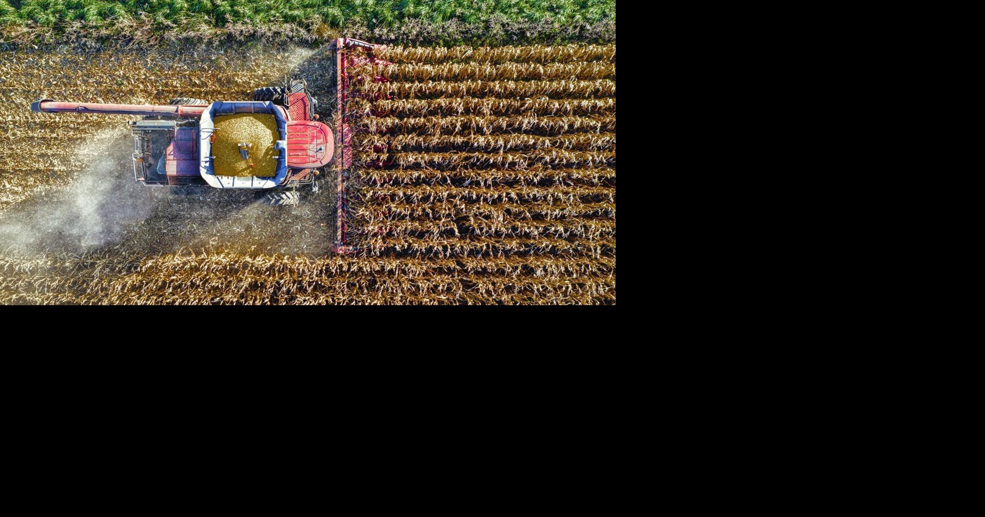 Chicago Tribune: A big harvest but still a money loser for some ...