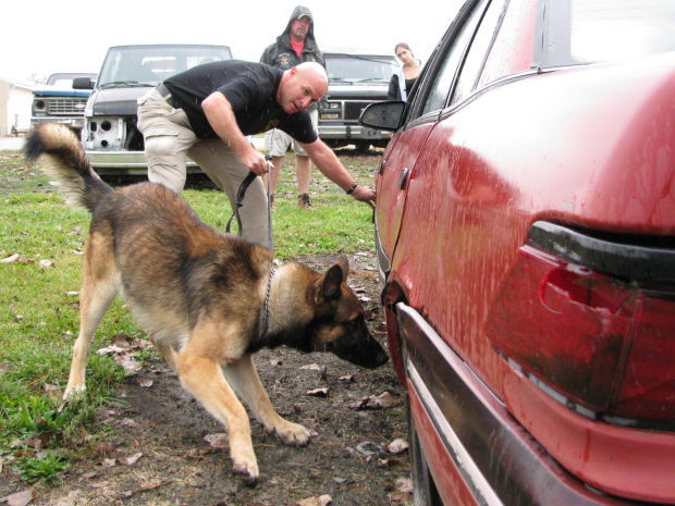 K-9 has super sniffer for detecting explosives