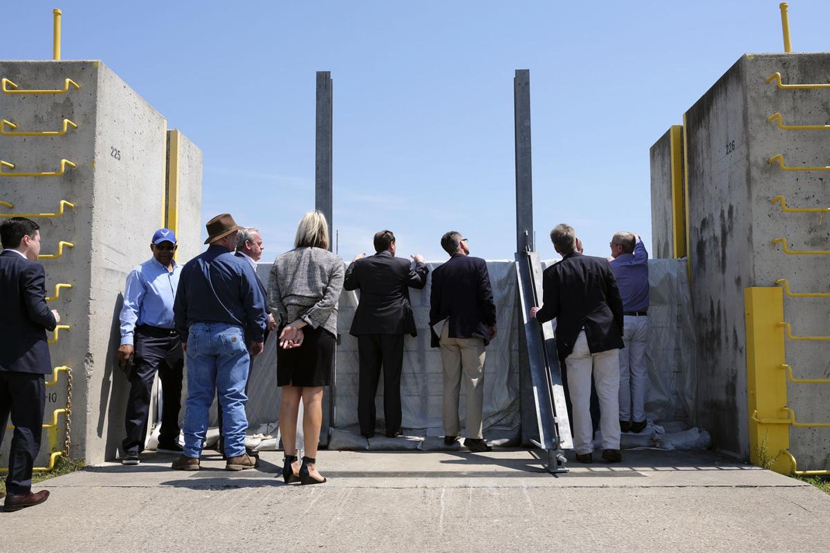 New $100,000 donation from Rauners' foundation could jumpstart Cairo ...