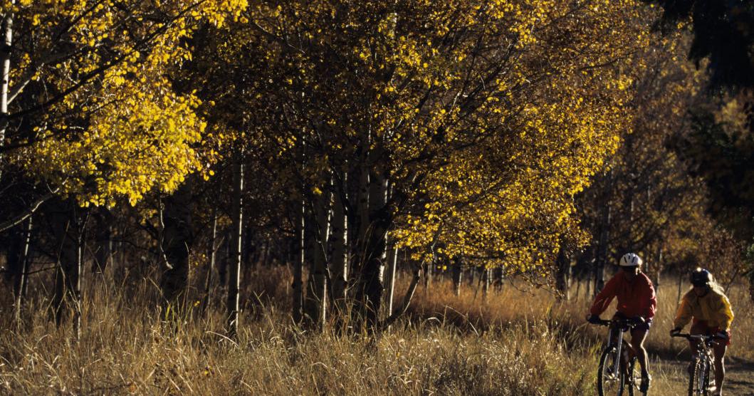 9. Go for a bike ride along a scenic trail
