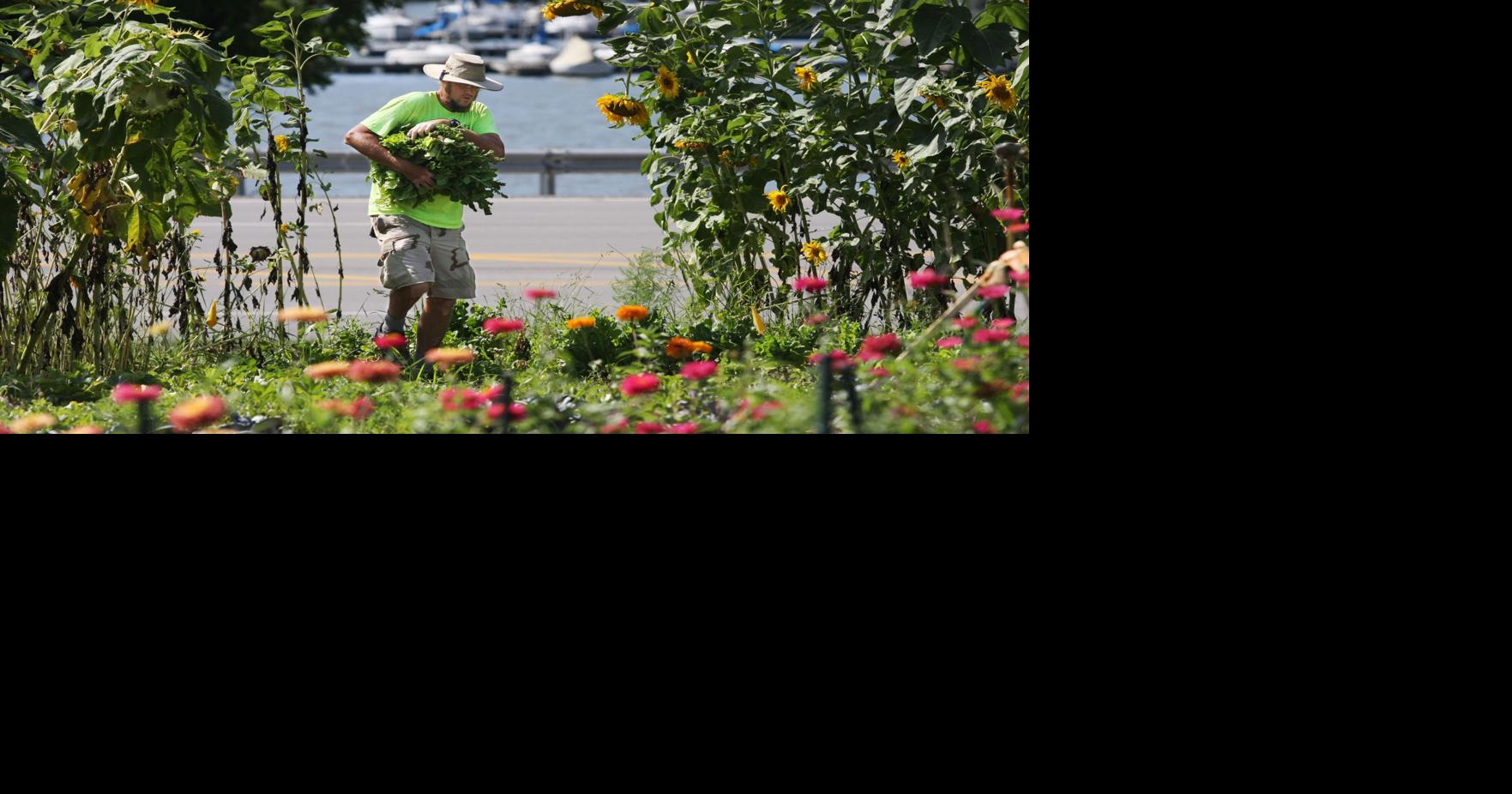 Branching out: Mercy Gardens/DIGG partners on three projects