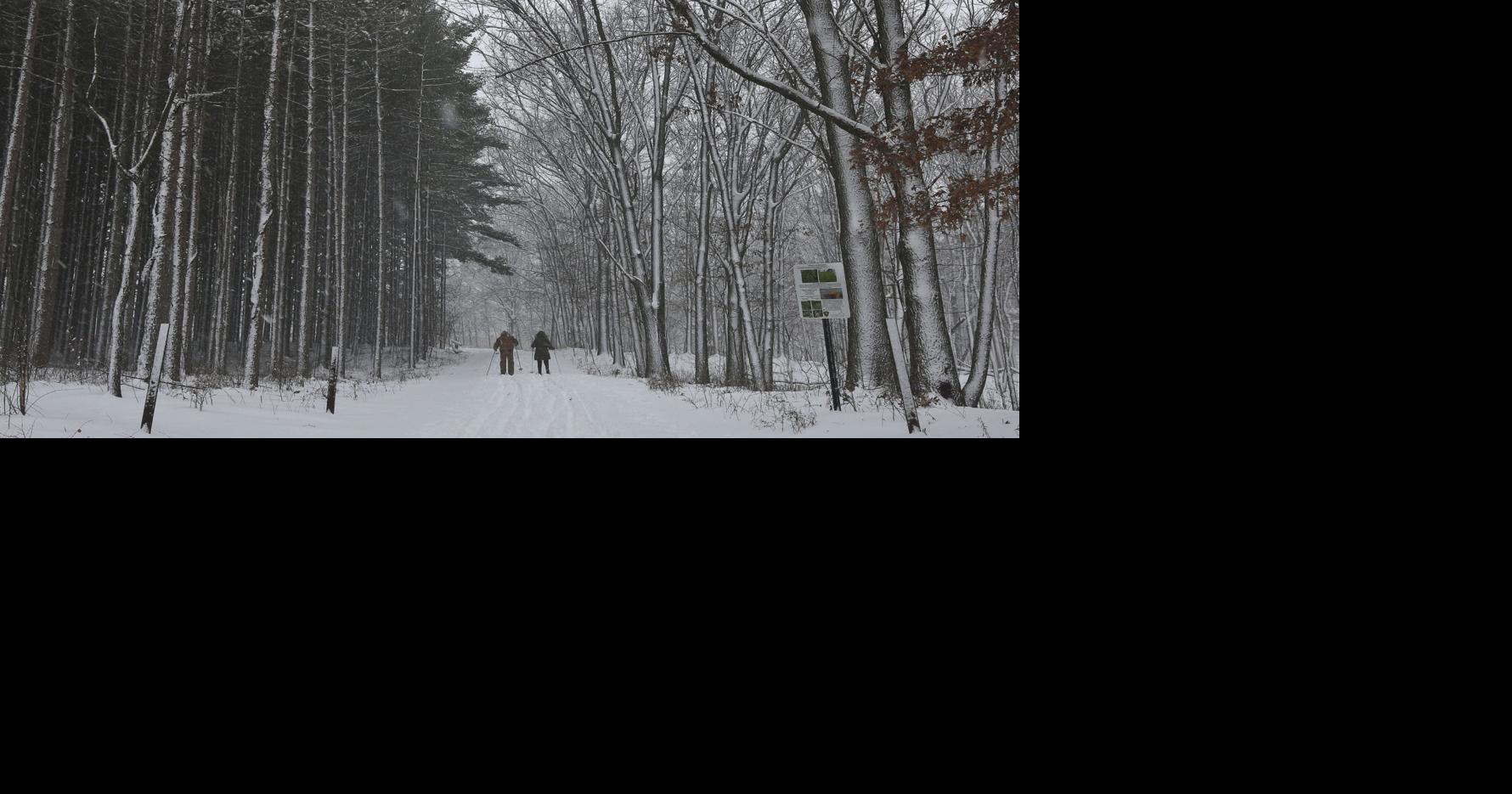 First winter storm of 2019 leaves its mark on Decatur