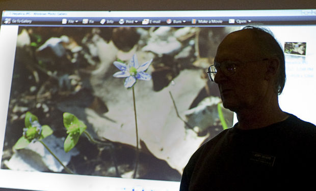 Photographer describes nature of his work with wildflowers