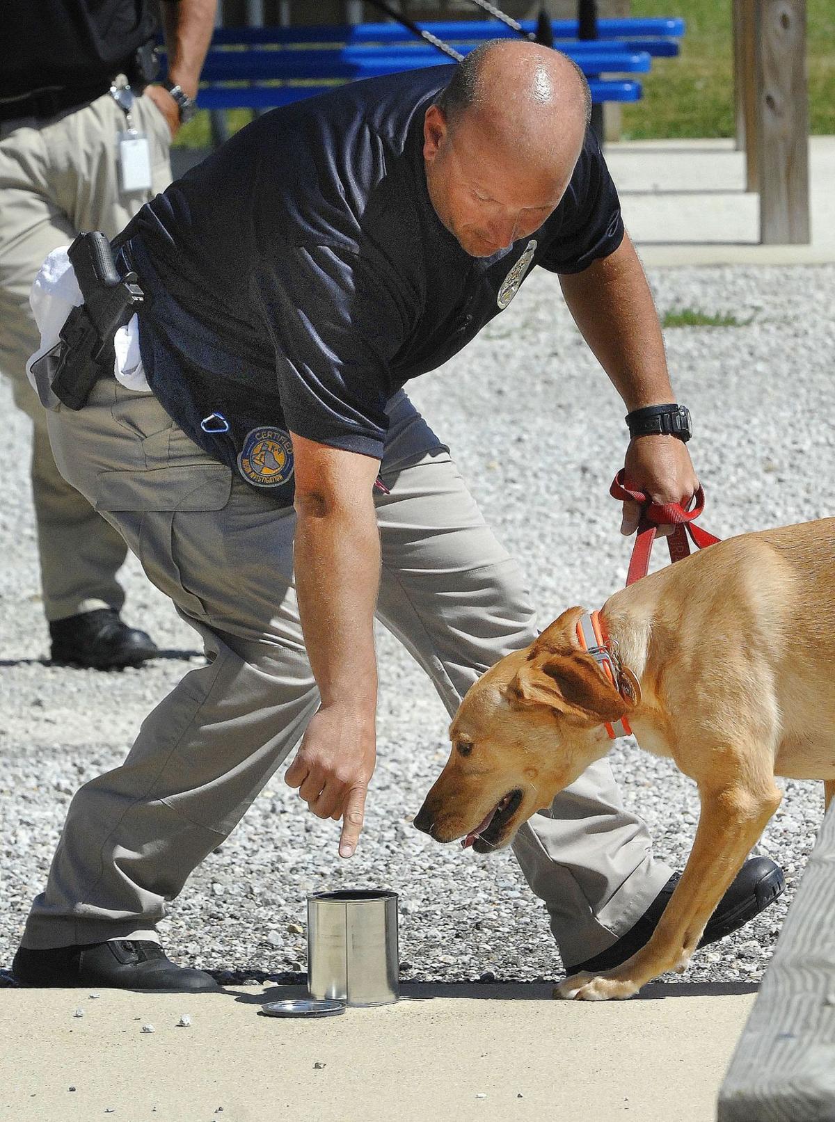 Arson dog Mazy shows off her skills in Bloomington