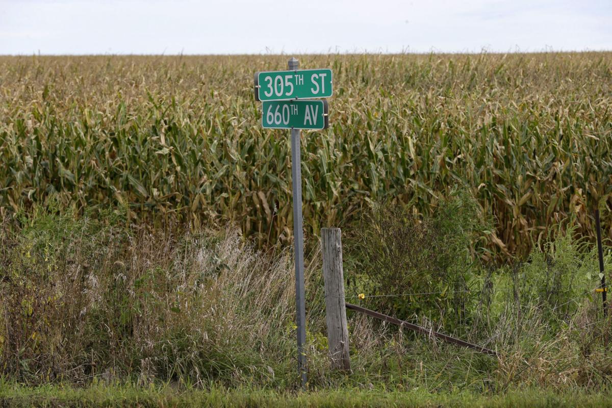 Corn grows danger level at intersections | State and Regional | herald ...
