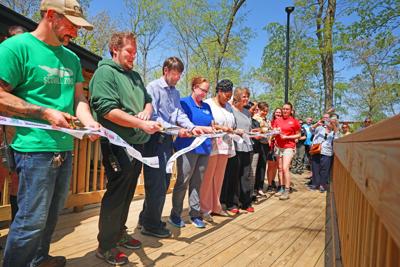 Pumas greeted with warm welcome at Scovill Zoo exhibit