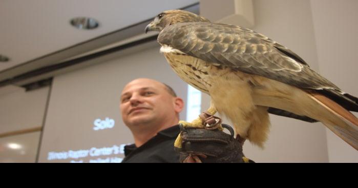 Raptor Focus Series gets up close with bird appearance, habitat and ...