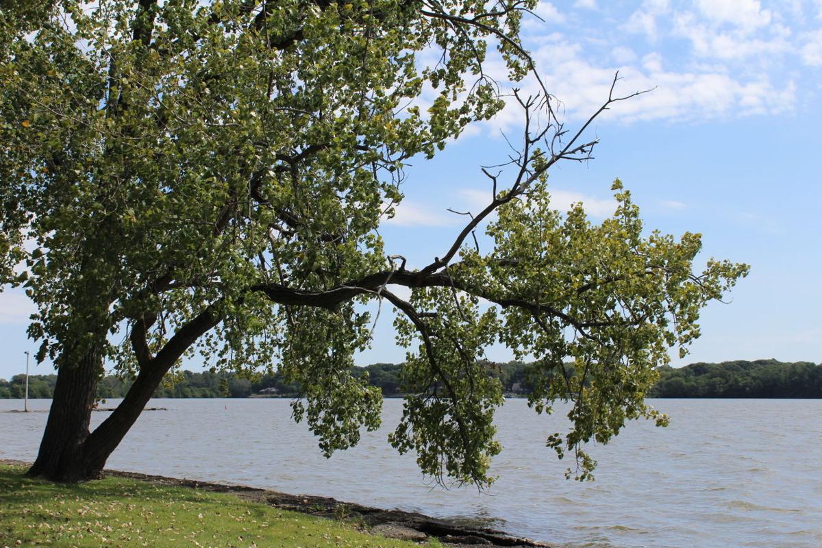 Literally just 35 pictures of Decatur being beautiful | Local | herald ...