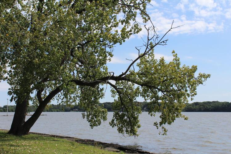 Lake Decatur: The Dredge Report