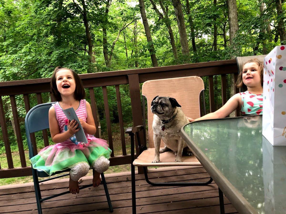 COATES: Remembering the family dog, Mo