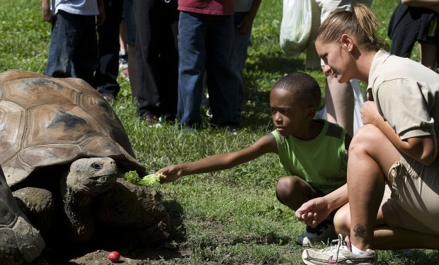 Scovill Zoo animals dine on vegetables grown, delivered by Parsons ...