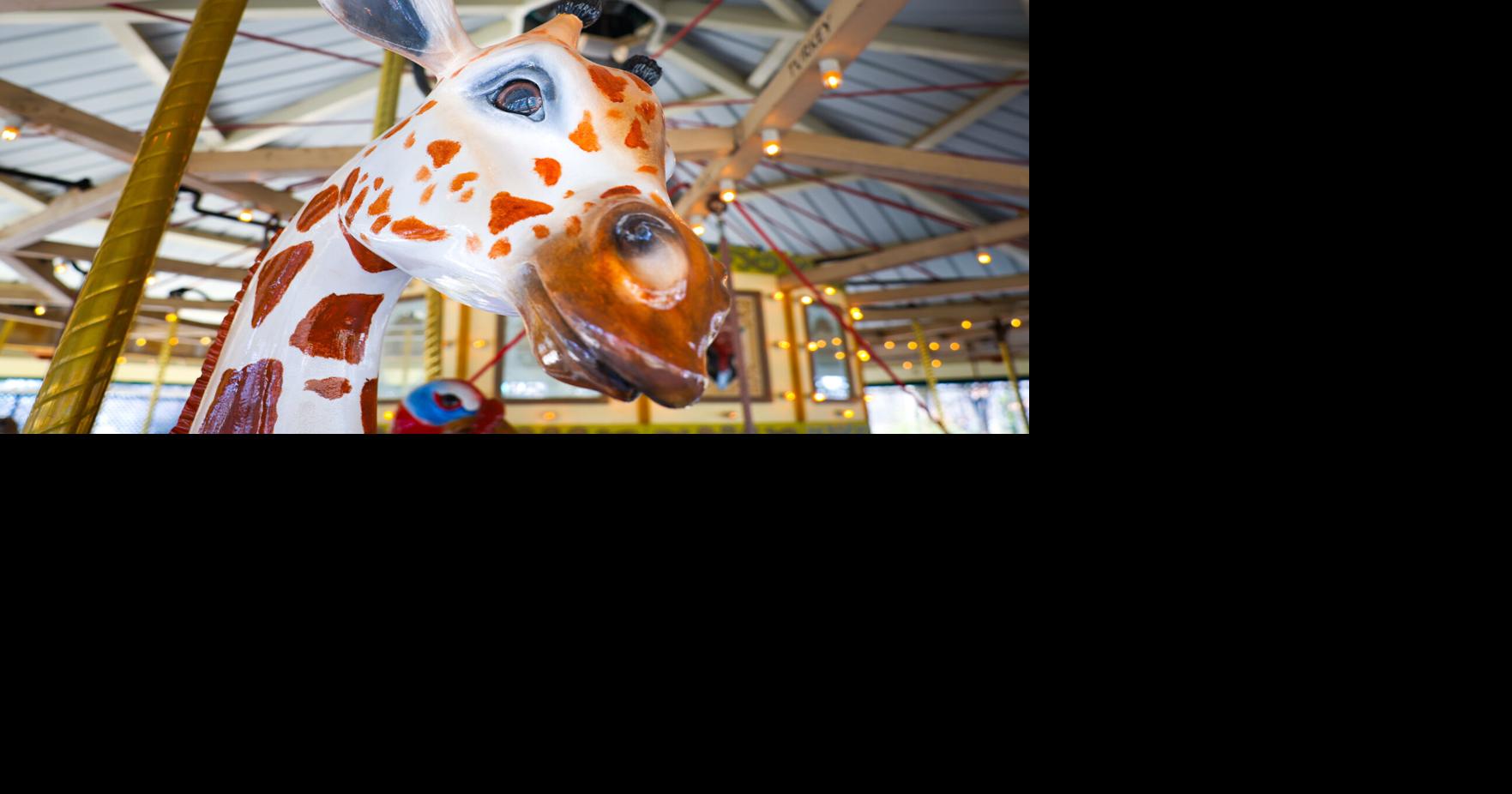 Scovill Zoo carousel welcomes visitors with a new addition