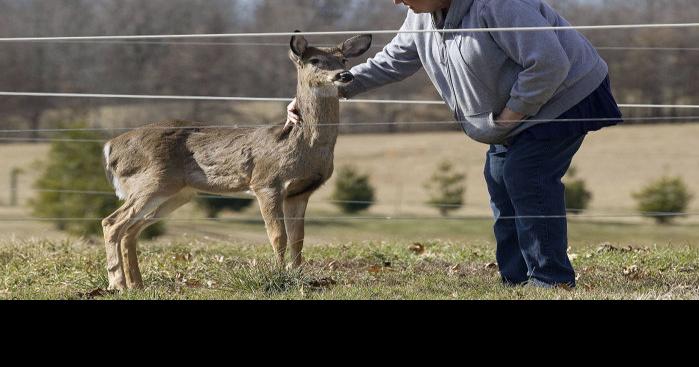 PHOTOS: State Licensed Wildlife Rehabilitator