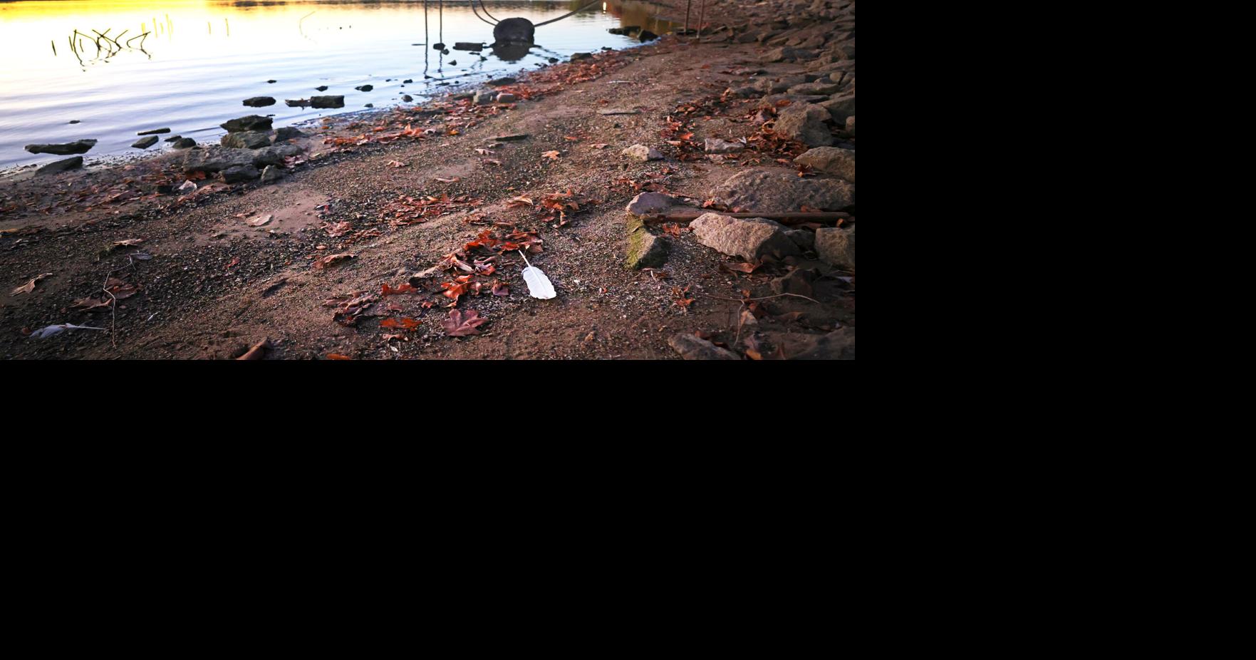 Decatur issues water rationing