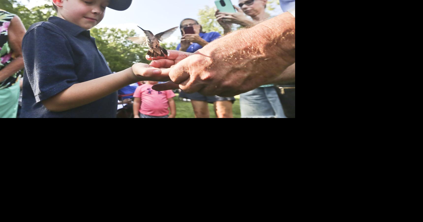 PHOTOS: Hummingbird Festival at Rock Springs Nature Center