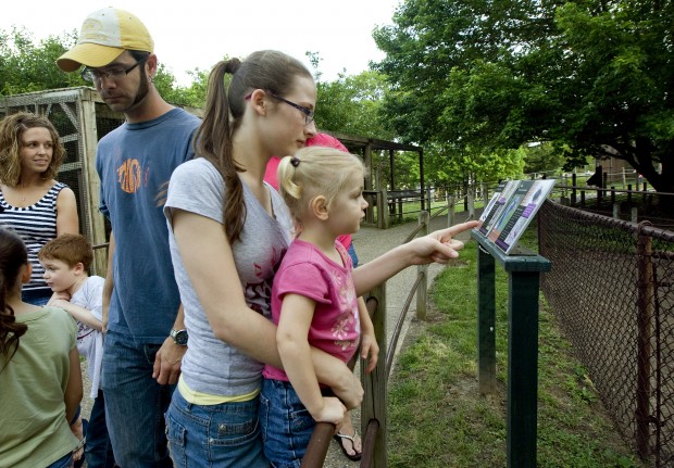 Questions and animals at Scovill Zoo Walk & Learn for families