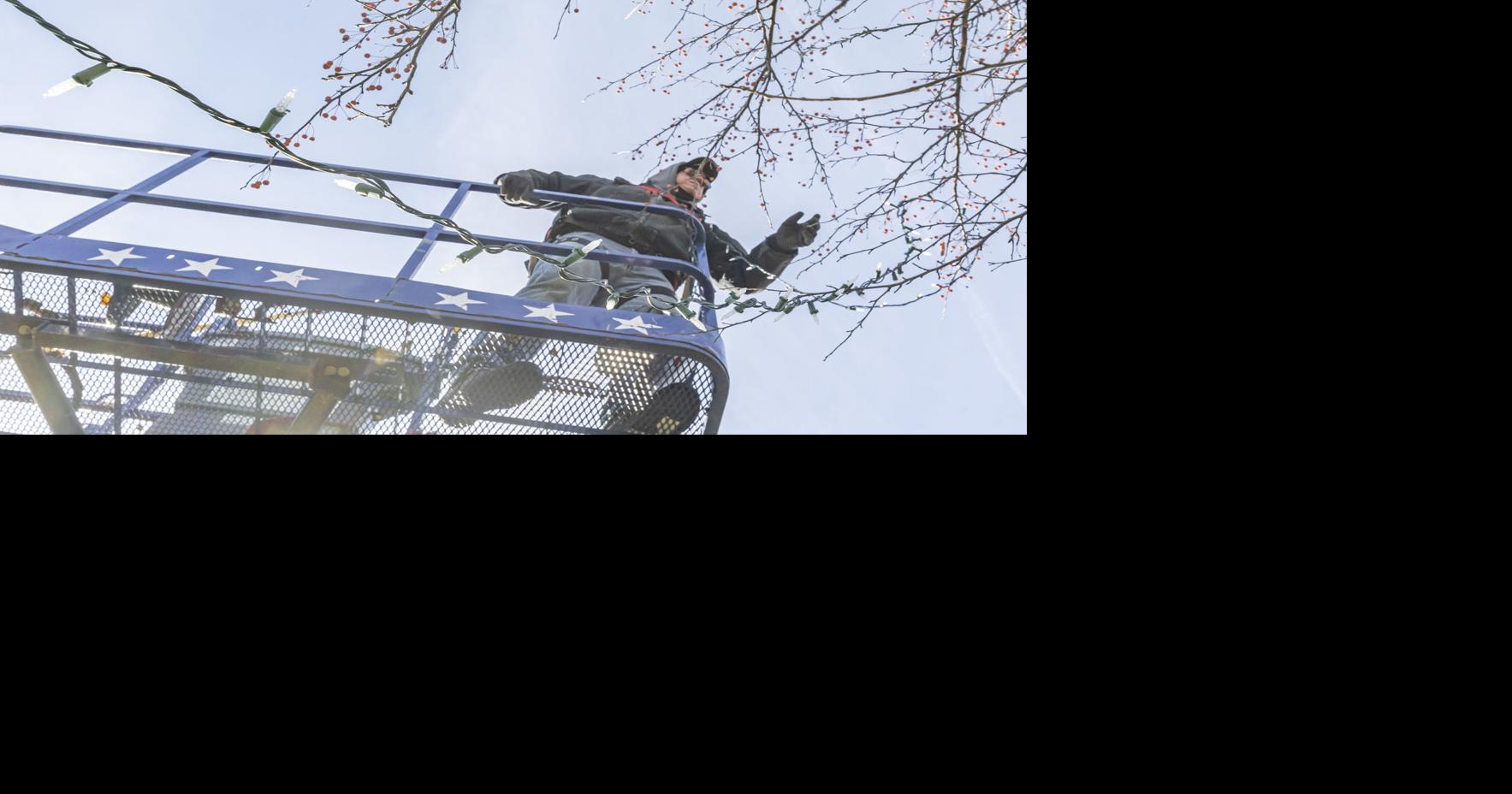 Decatur Park District prepares for Trees on the Tees