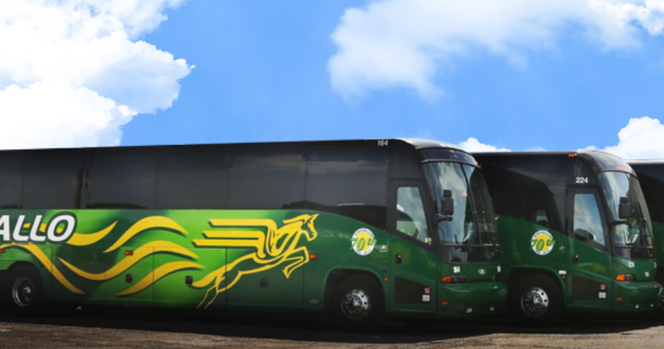 Travel company: Cavallo Bus Lines ends operations