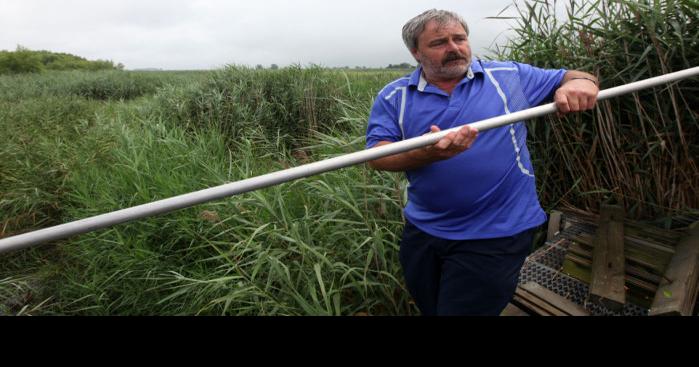 Basin home to Lake Decatur silt, its own ecosystem