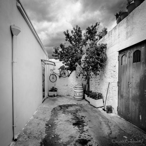 Photographer Brodsky's show reveals the world as he sees it