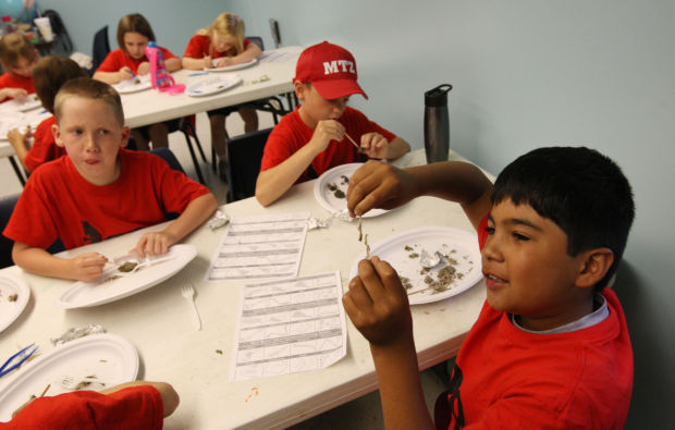 Owl pellets capture kids' attention on 'Puke Day' | Education | herald ...