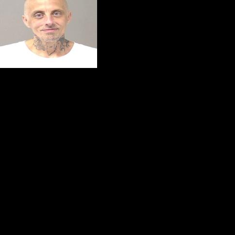 Man charged with stomping pet cat to death