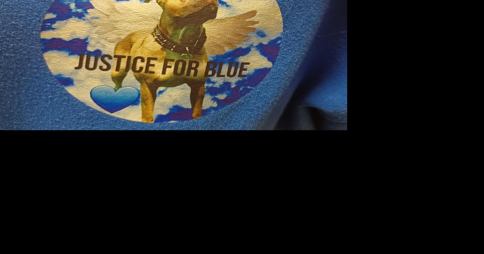 Animal cruelty charge prosecution moves ahead in Macon County