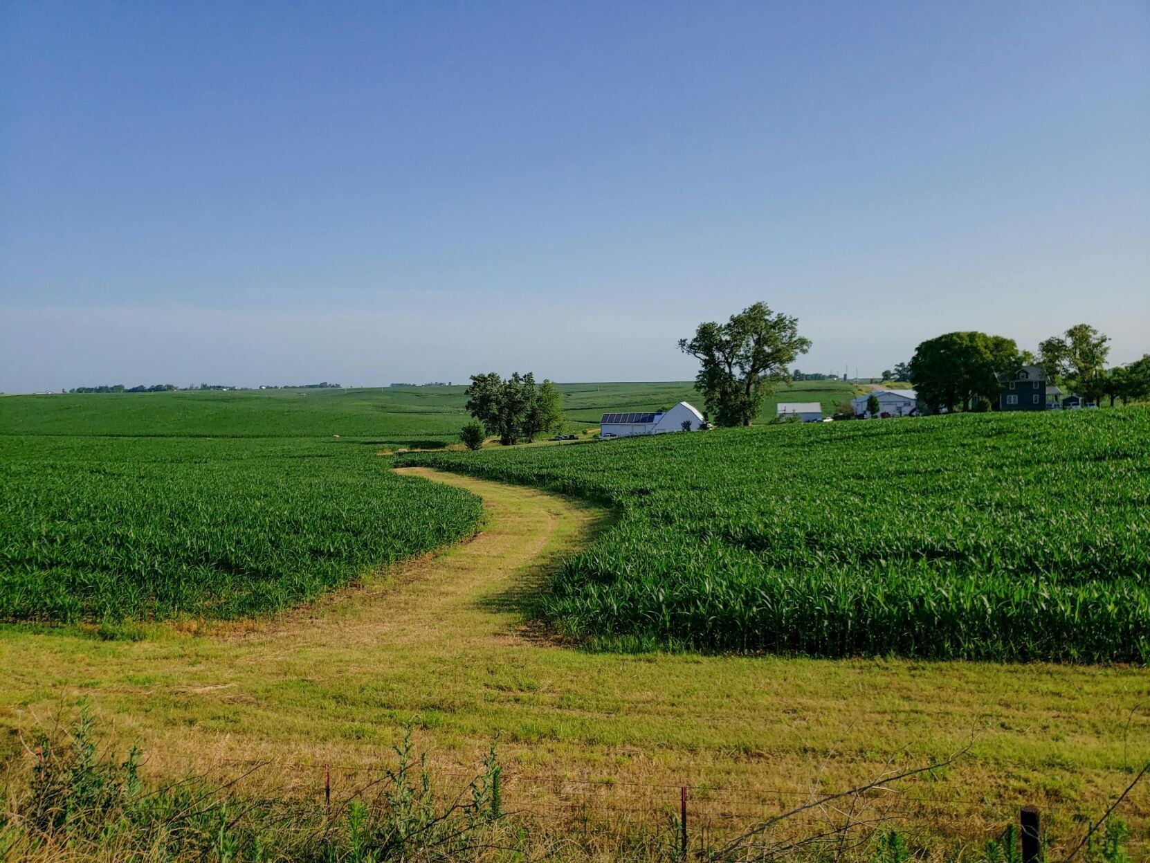 Why More Iowa Programs Are Trying to Shorten the Gap Between Crisis and ...