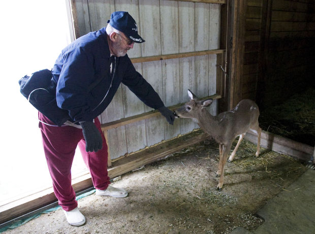 Injured, abandoned animals find their way to Anne Eddings' doorstep