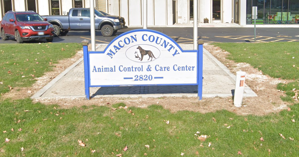 Macon County Animal Control gets big surprise in a Decatur yard