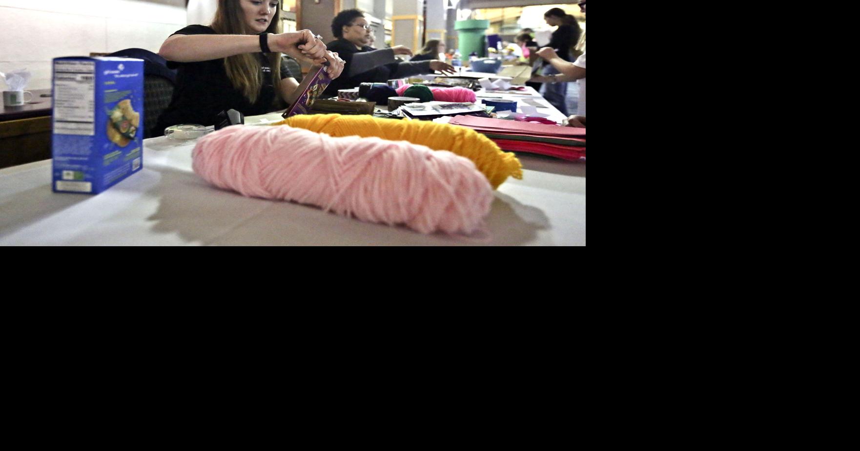 Central Illinois Girl Scouts celebrate accomplishments in Decatur ceremony