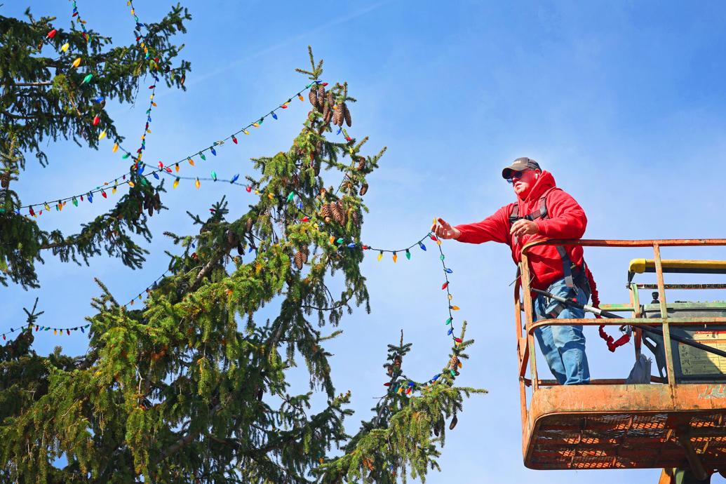 Decatur's Trees on the Tees tickets scheduled