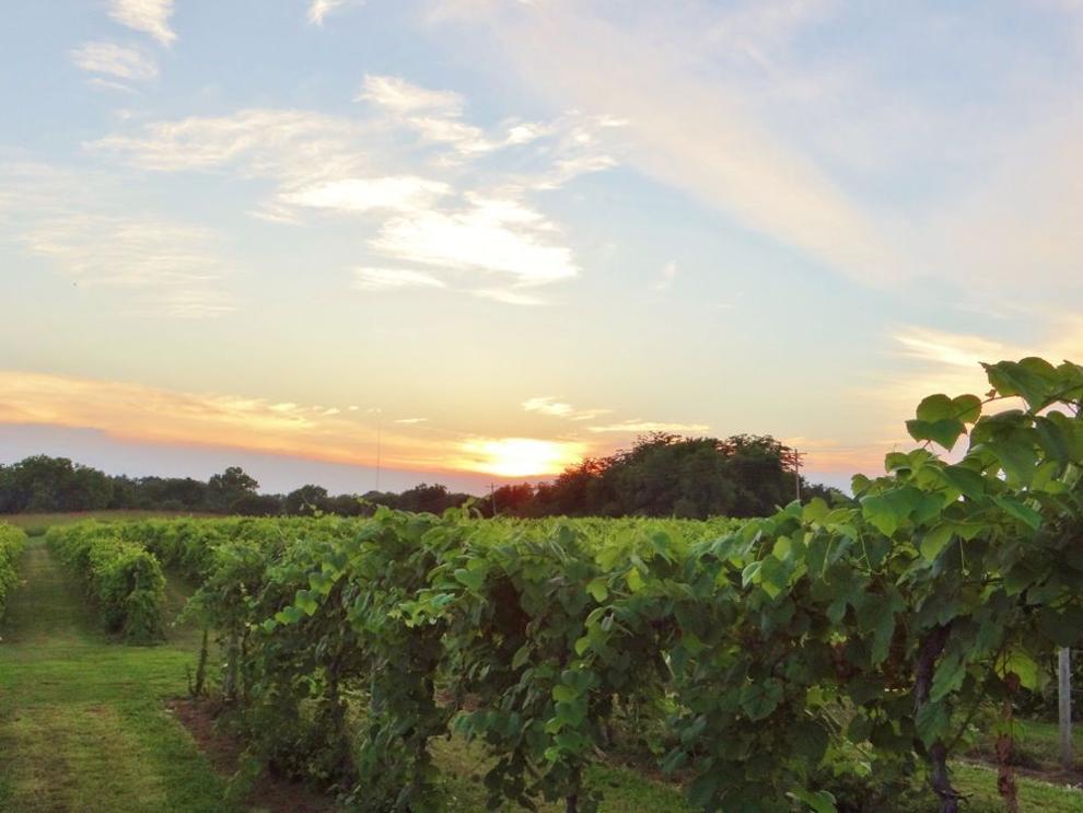 🍷Central Illinois wine: 24 wineries & vineyards in the Land of Lincoln