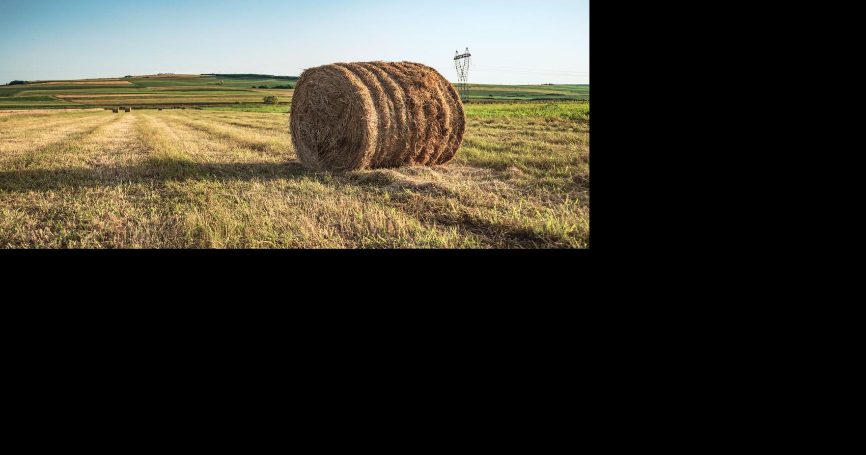 Monticello's Topflight Grain to be part of investment move by Ceres ...