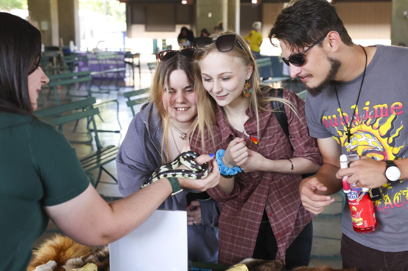 Photos: 2023 Decatur Pride Fest